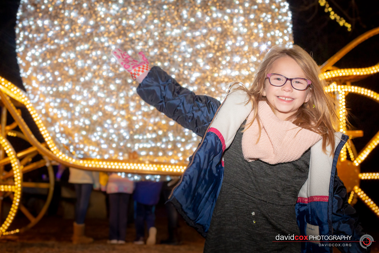 Trail of Lights & Exciting News | Jennifer, David... & Madeline