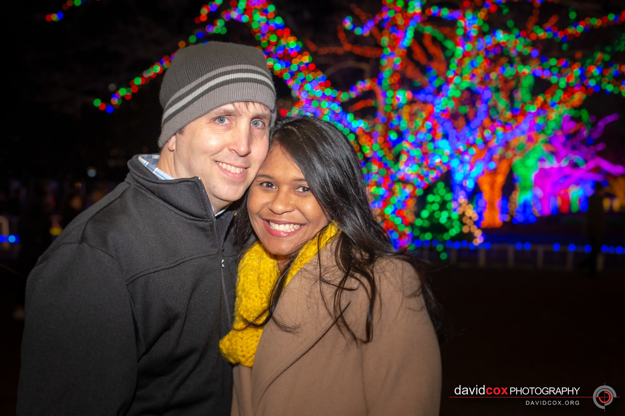Trail of Lights & Exciting News | Jennifer, David... & Madeline